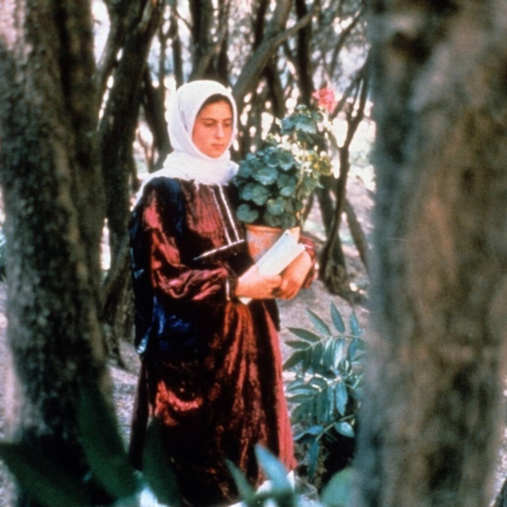 Film: Zire darakhatan zeyton